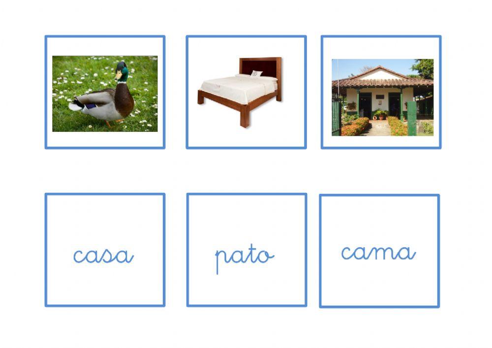 Serie azul montessori worksheet | Live Worksheets