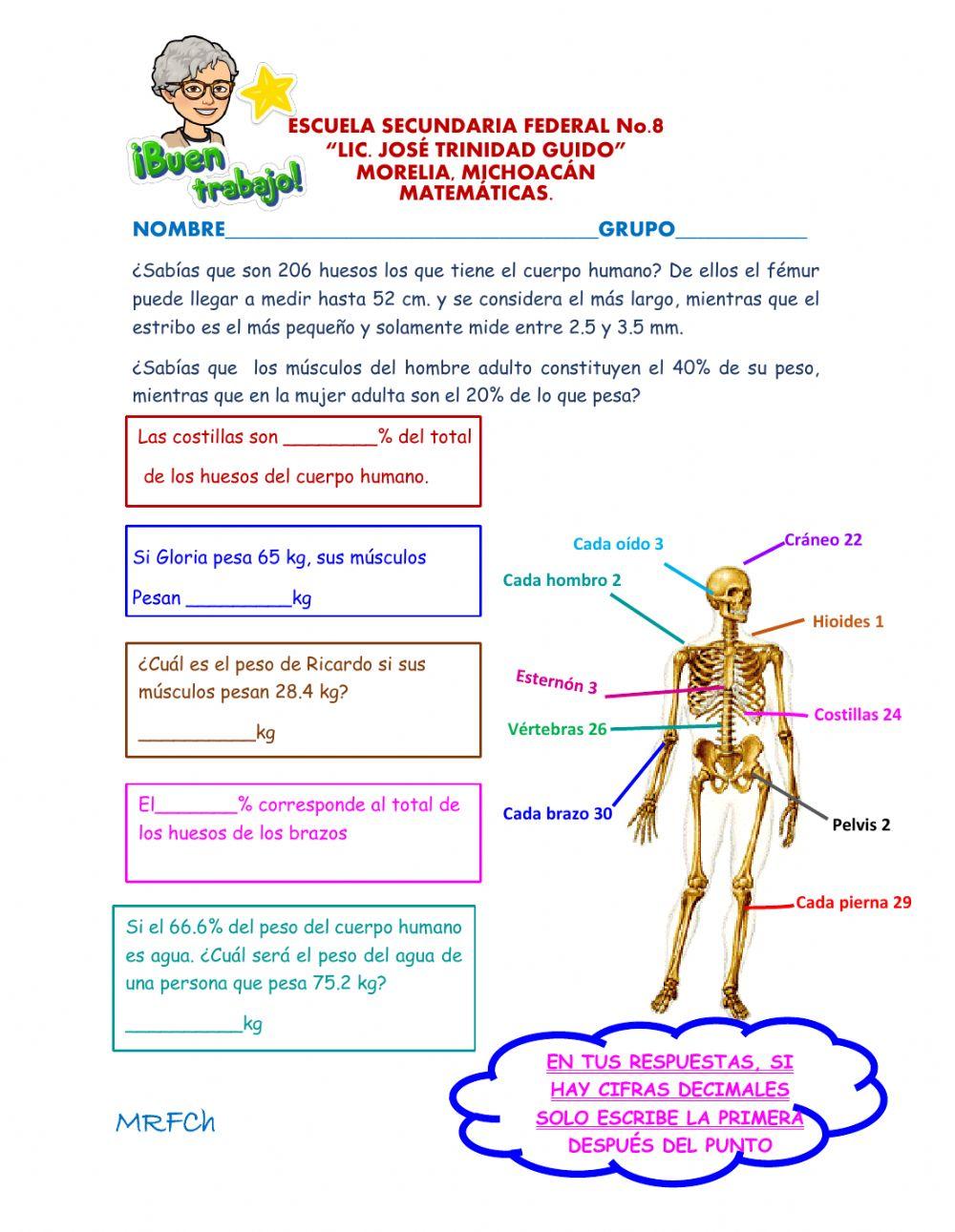 - Huesos y músculos del cuerpo worksheet | Live Worksheets