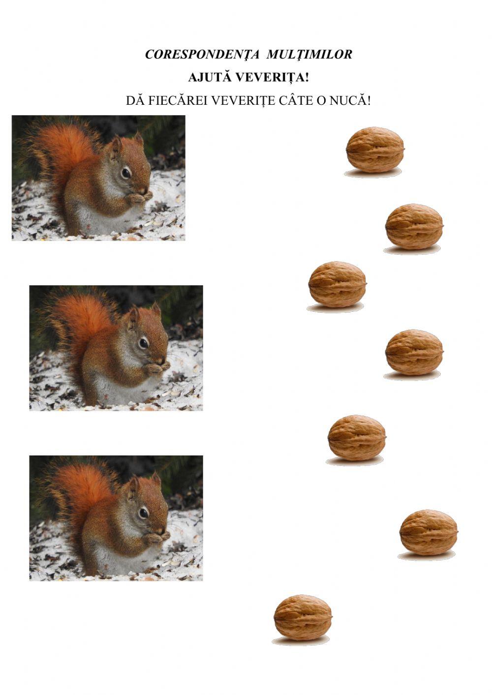 Corespondenta multimi worksheet | Live Worksheets