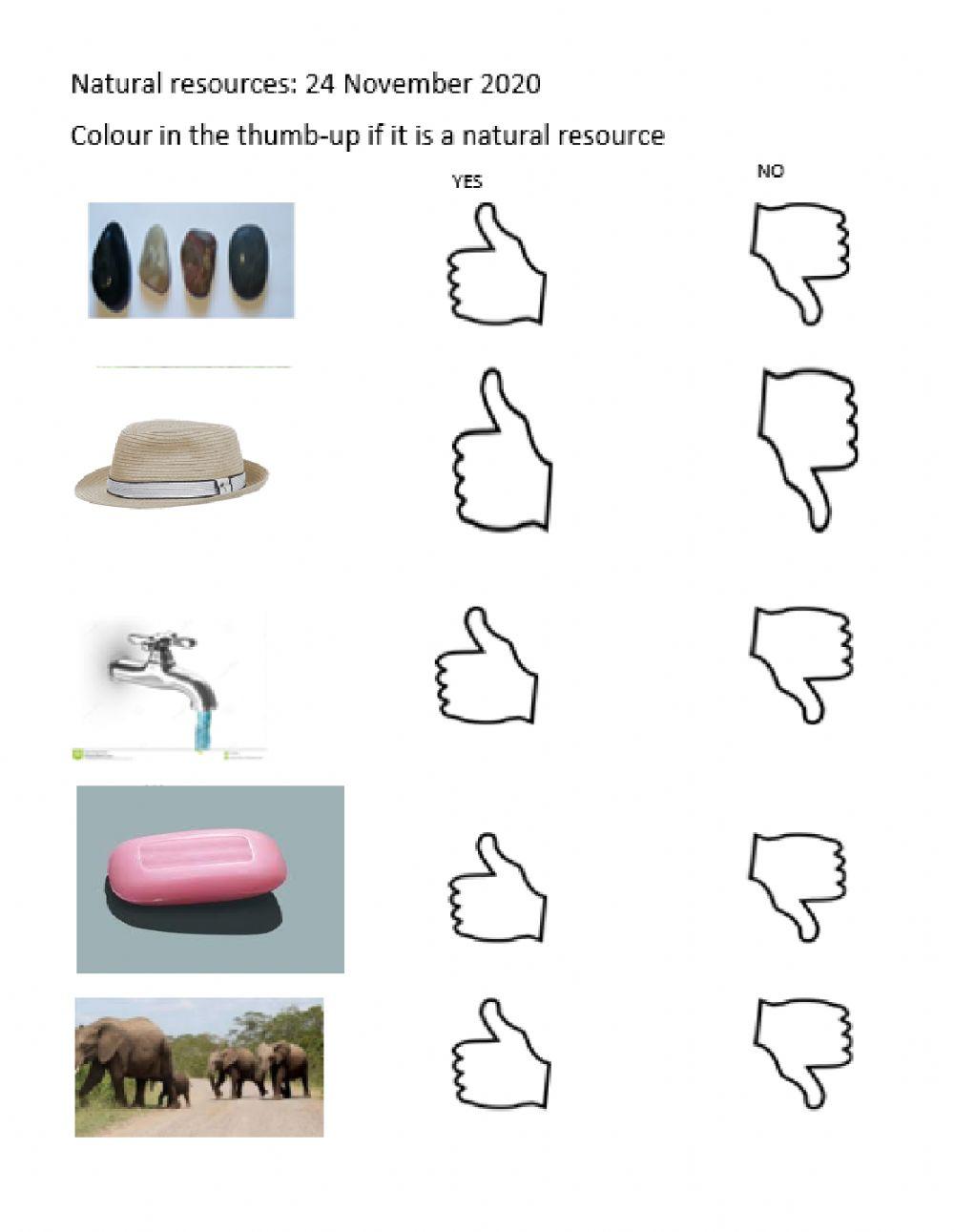 Natural resourc… | Free Interactive Worksheets | 510058