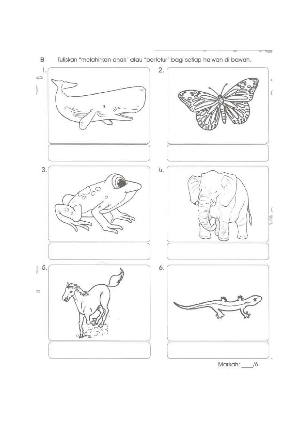 Ulangkaji Sains Tahun 2 Set 2 worksheet | Live Worksheets