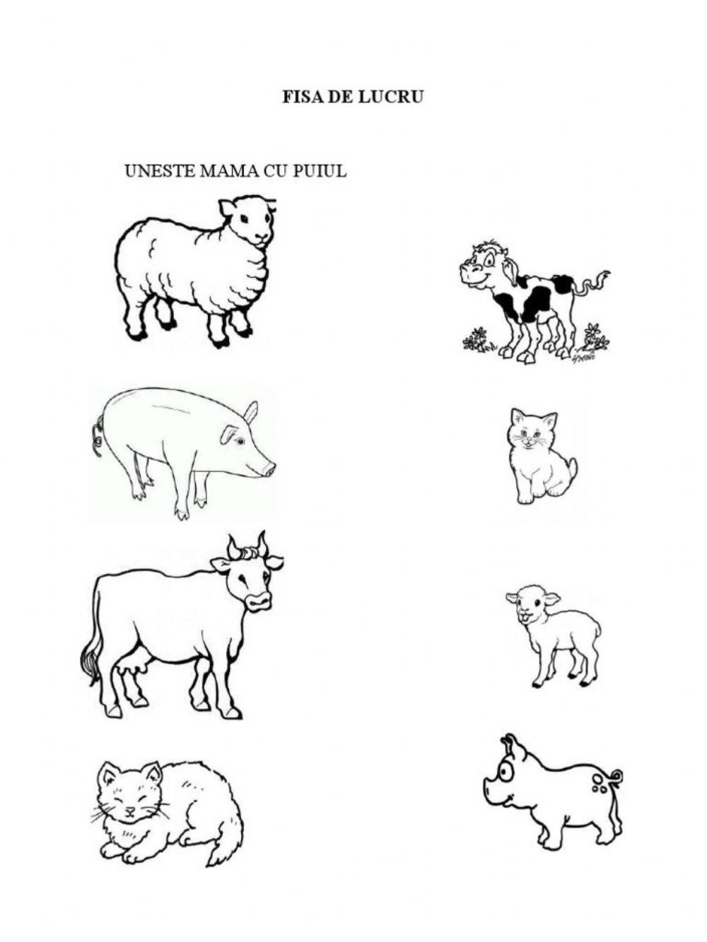 Animalele domestice și puii lor worksheet | Live Worksheets