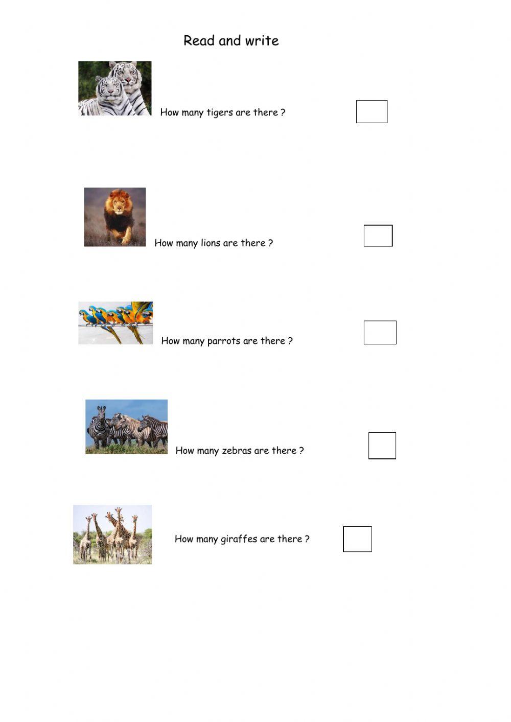 Read and answer 515051 | shar_56 | Live Worksheets