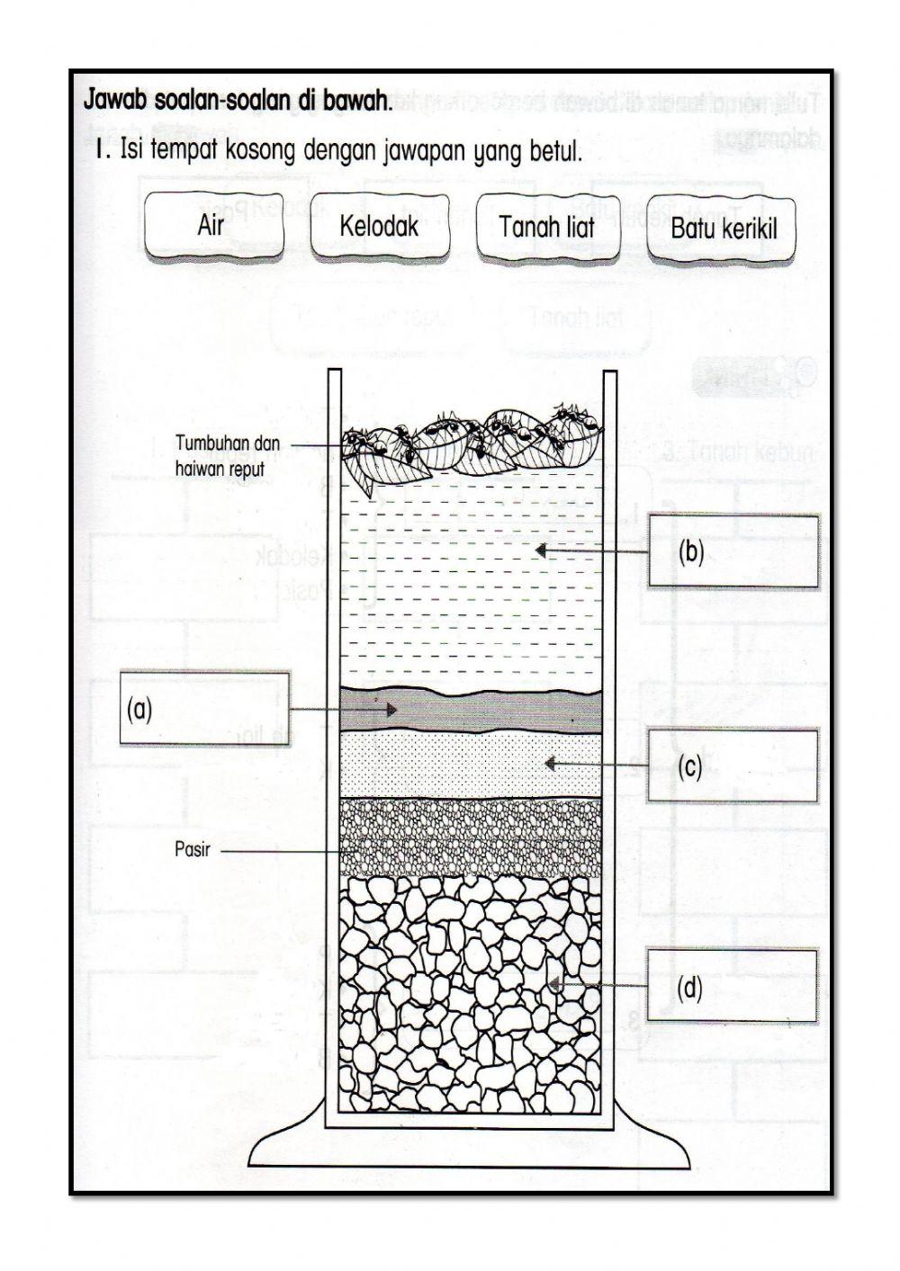 SAINS TAHUN 1 interactive activity | Live Worksheets
