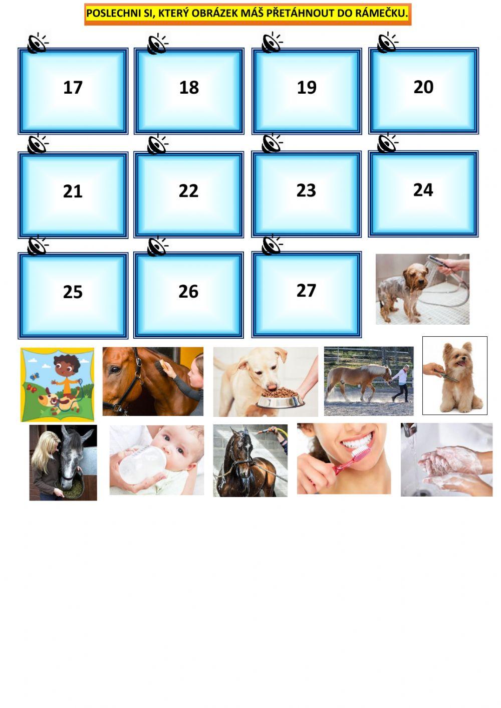 Animals verbs | lenkaholasova | Live Worksheets