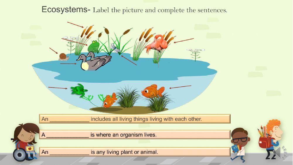 Ecosystems online exercise for | Live Worksheets