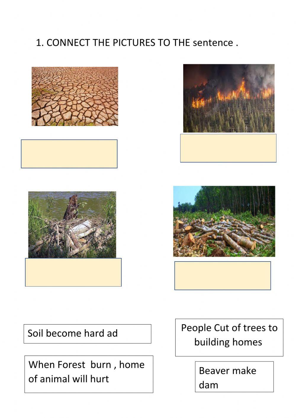 Endangered animals 22 worksheet | Live Worksheets