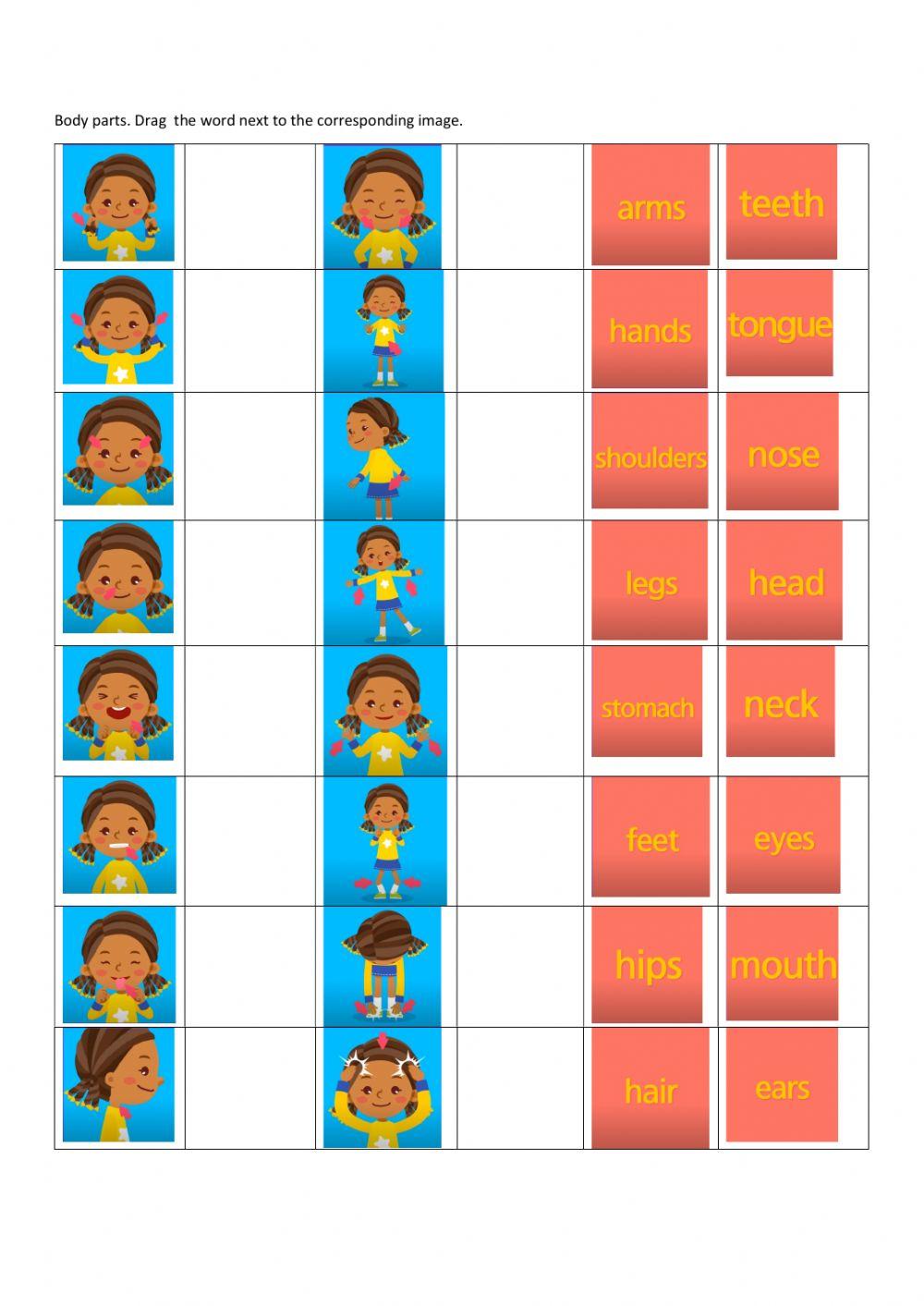 Drag Body parts worksheet | Live Worksheets