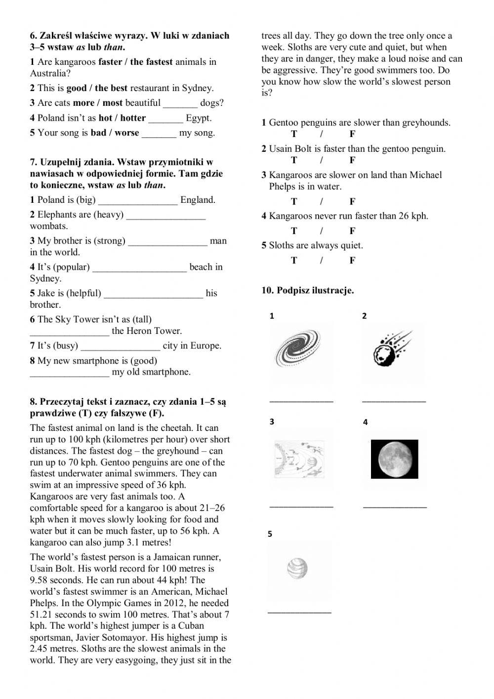 Evolution 3 test 2 worksheet | Live Worksheets