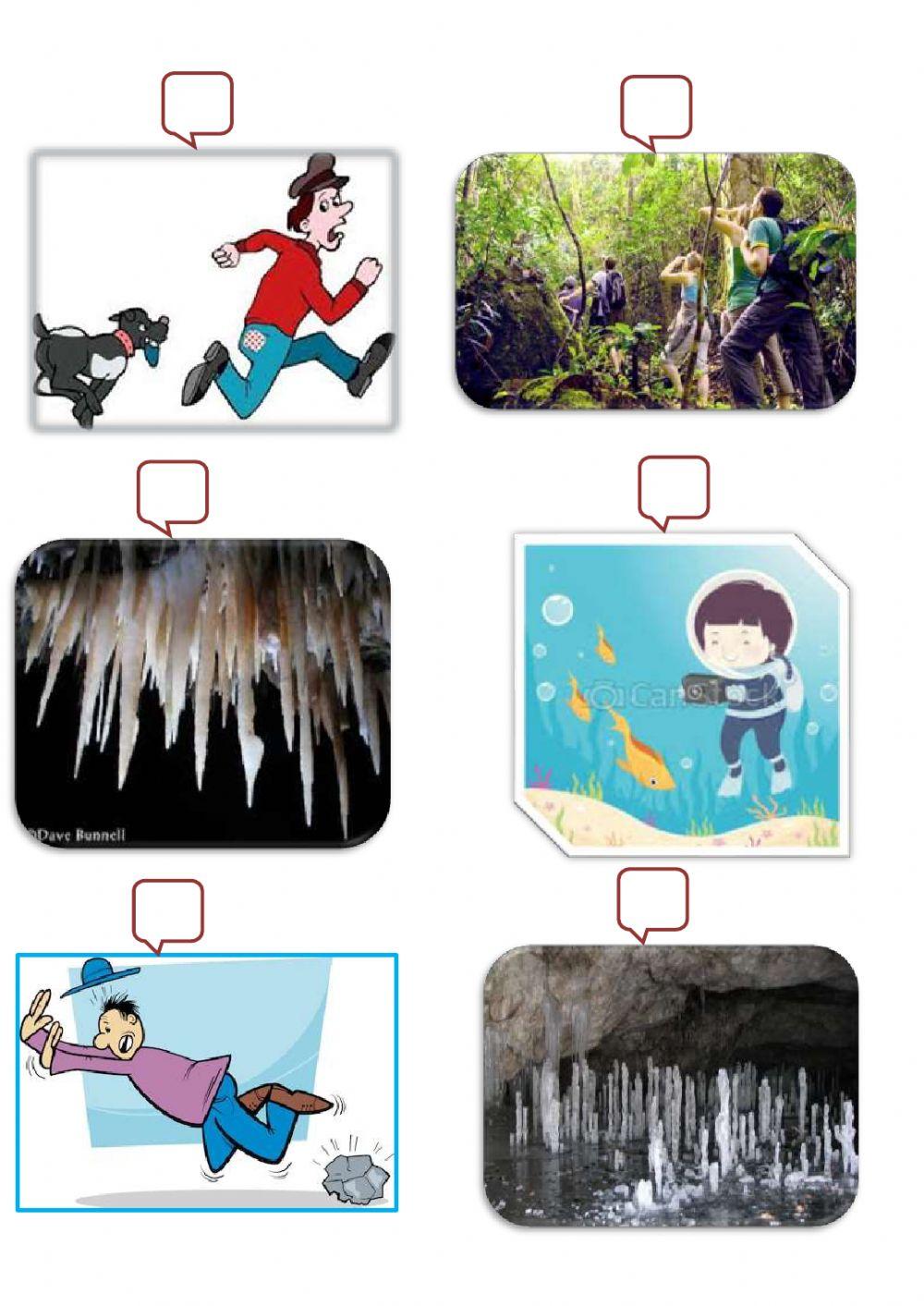 Wornder of the Natural World worksheet | Live Worksheets