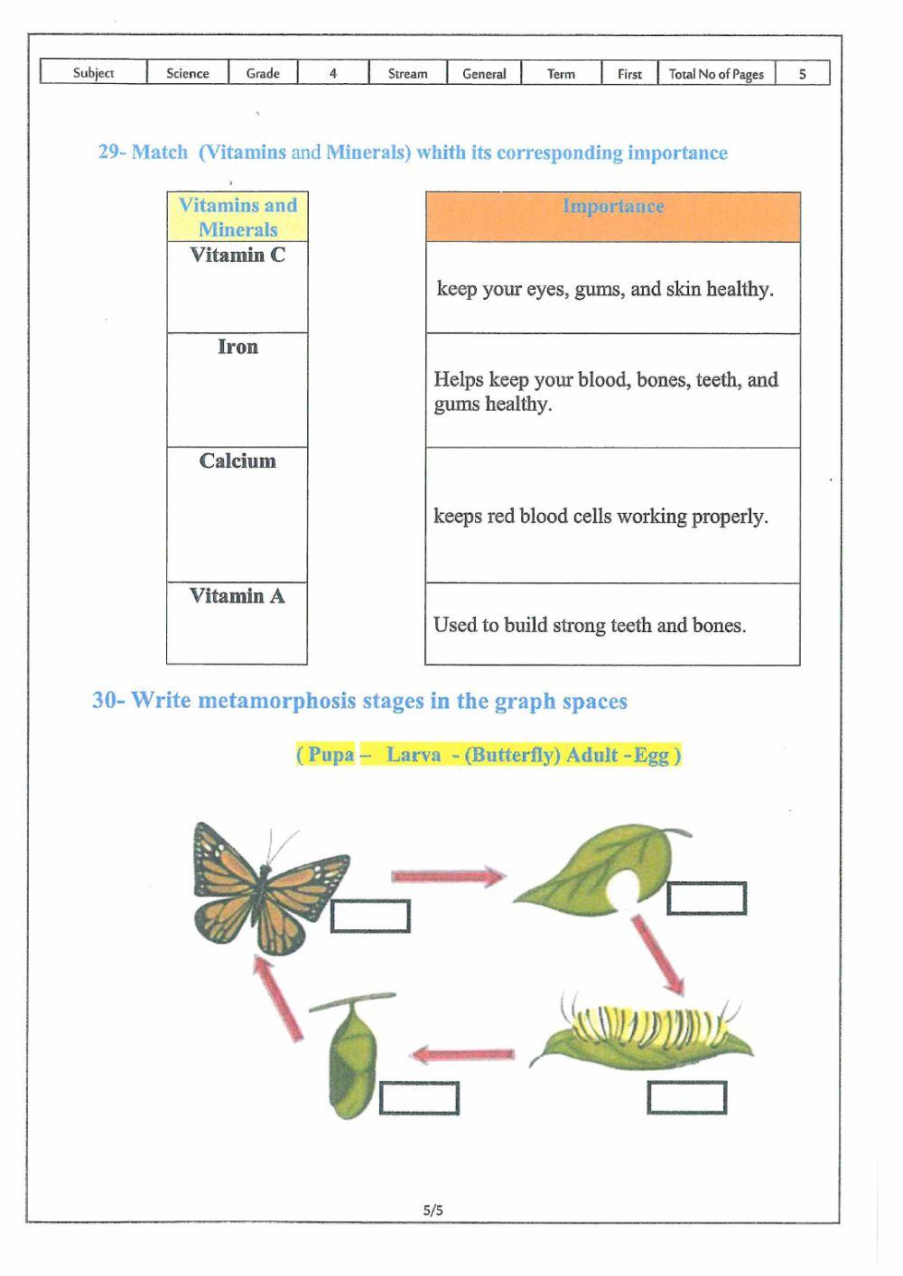Practice for term 1 interactive worksheet | Live Worksheets