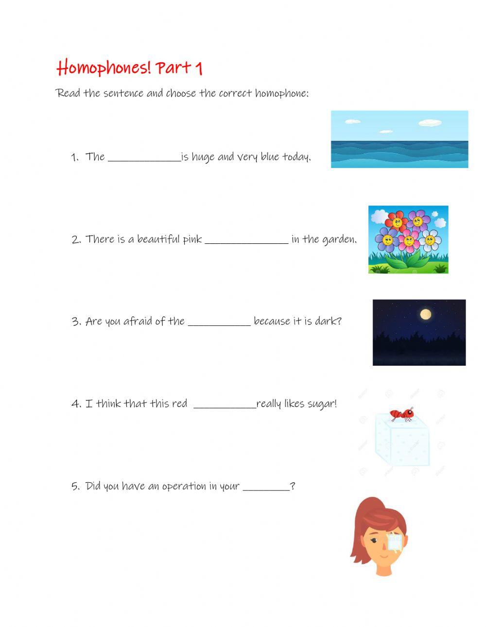 Homophones 1 worksheet | Live Worksheets