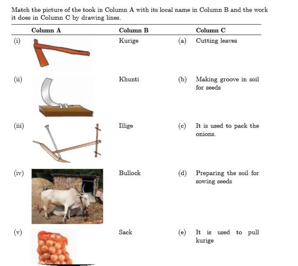 basva's farm online exercise for | Live Worksheets