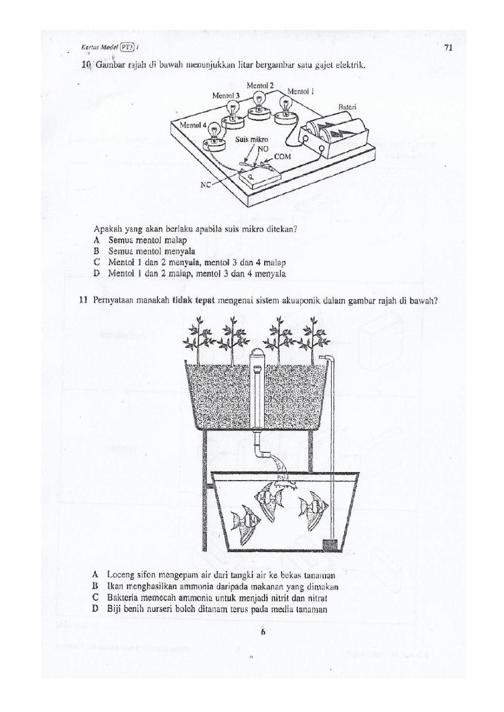 RBT T3 LATIHAN SET 1-1 AKHIR TAHUN PKPB online exercise for | Live ...