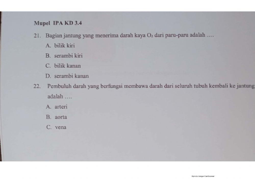 PAS Tema 4 IPA interactive worksheet | Live Worksheets