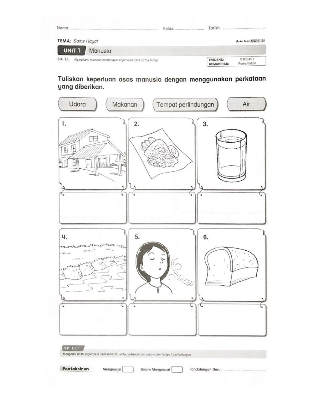 Sains free worksheet | Live Worksheets