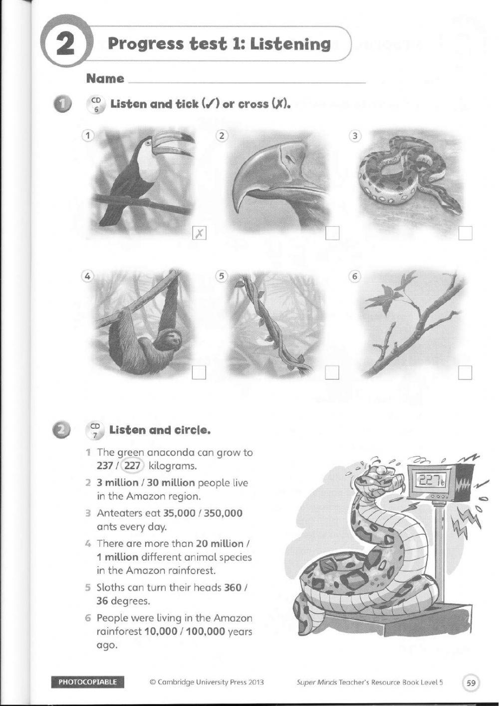 natashasolovyeva | Tests 1-2 Super Minds 5 6258560