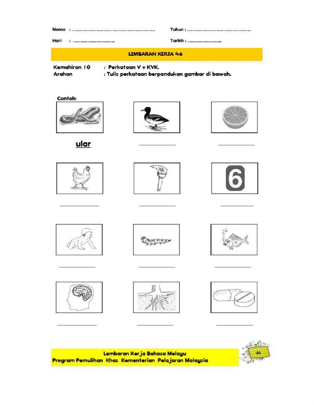 Latihan V+KVK | Free Interactive Worksheets | 526504
