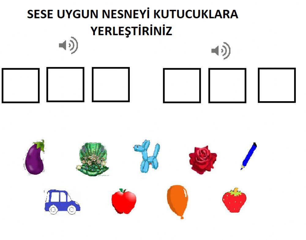 Sese uygun nesneyi kutucuklara götürünüz worksheet | Live Worksheets