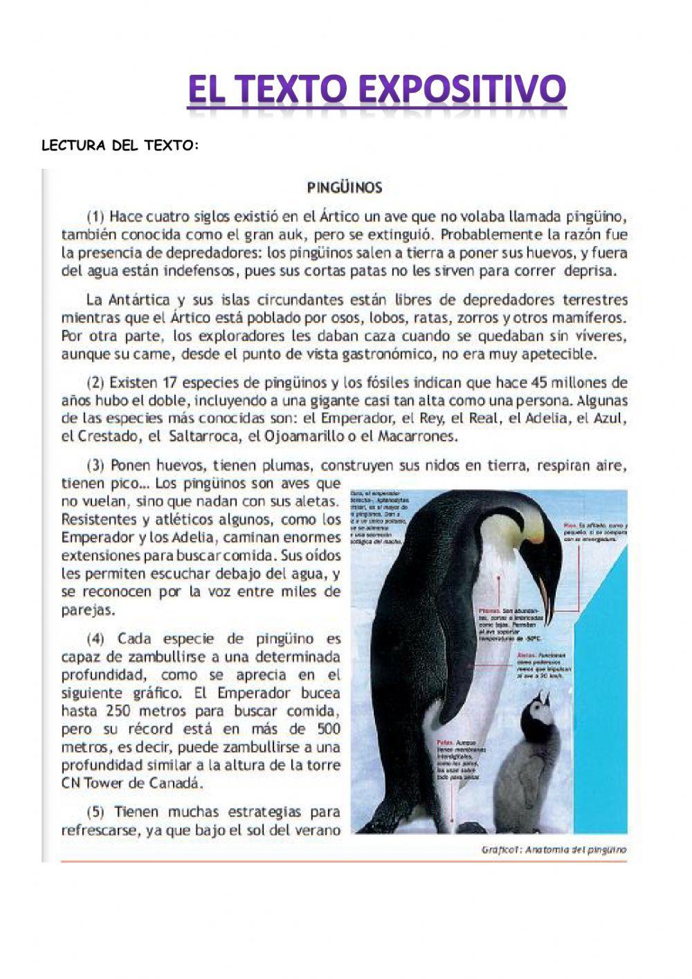Textos Expositivos Para Copiar - RETOEDU