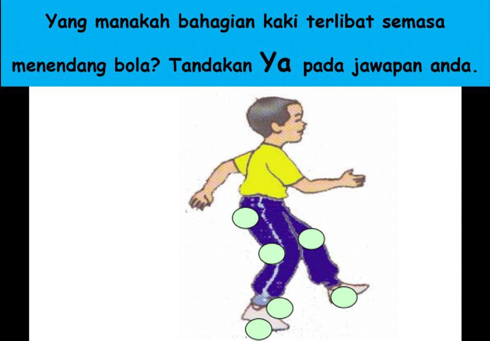 Menendang bola worksheet | Live Worksheets