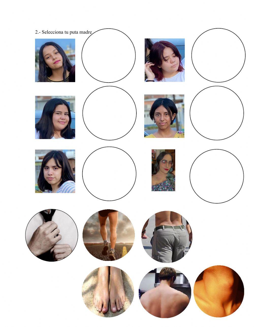 Examen BTS worksheet | Live Worksheets