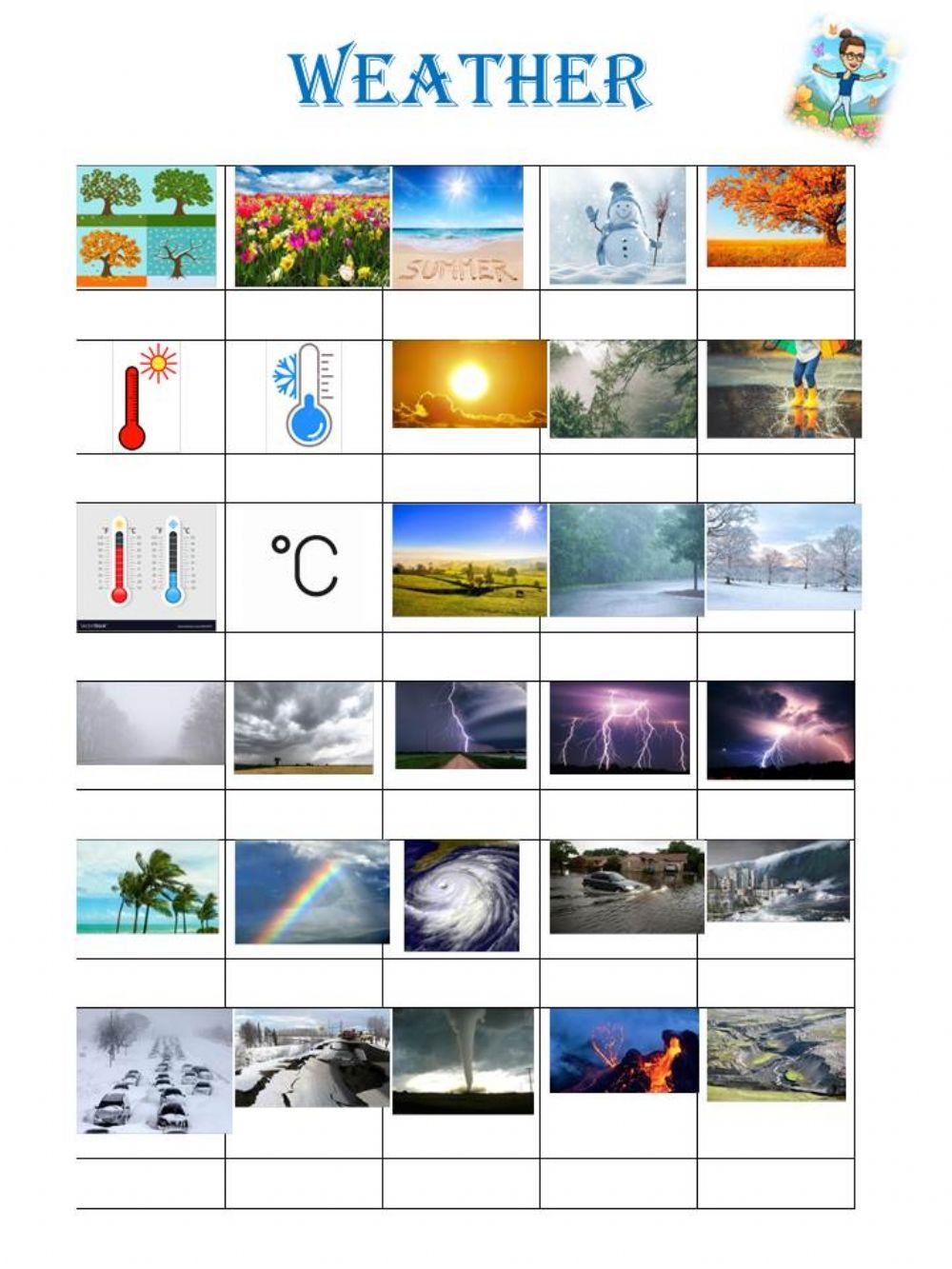 Weather online exercise for GRADE 4 | Live Worksheets