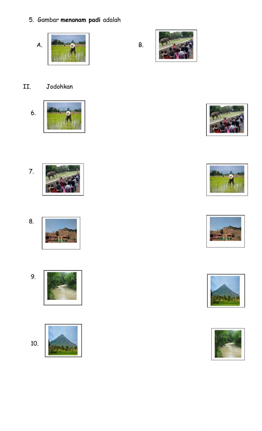 Ips online pdf activity | Live Worksheets