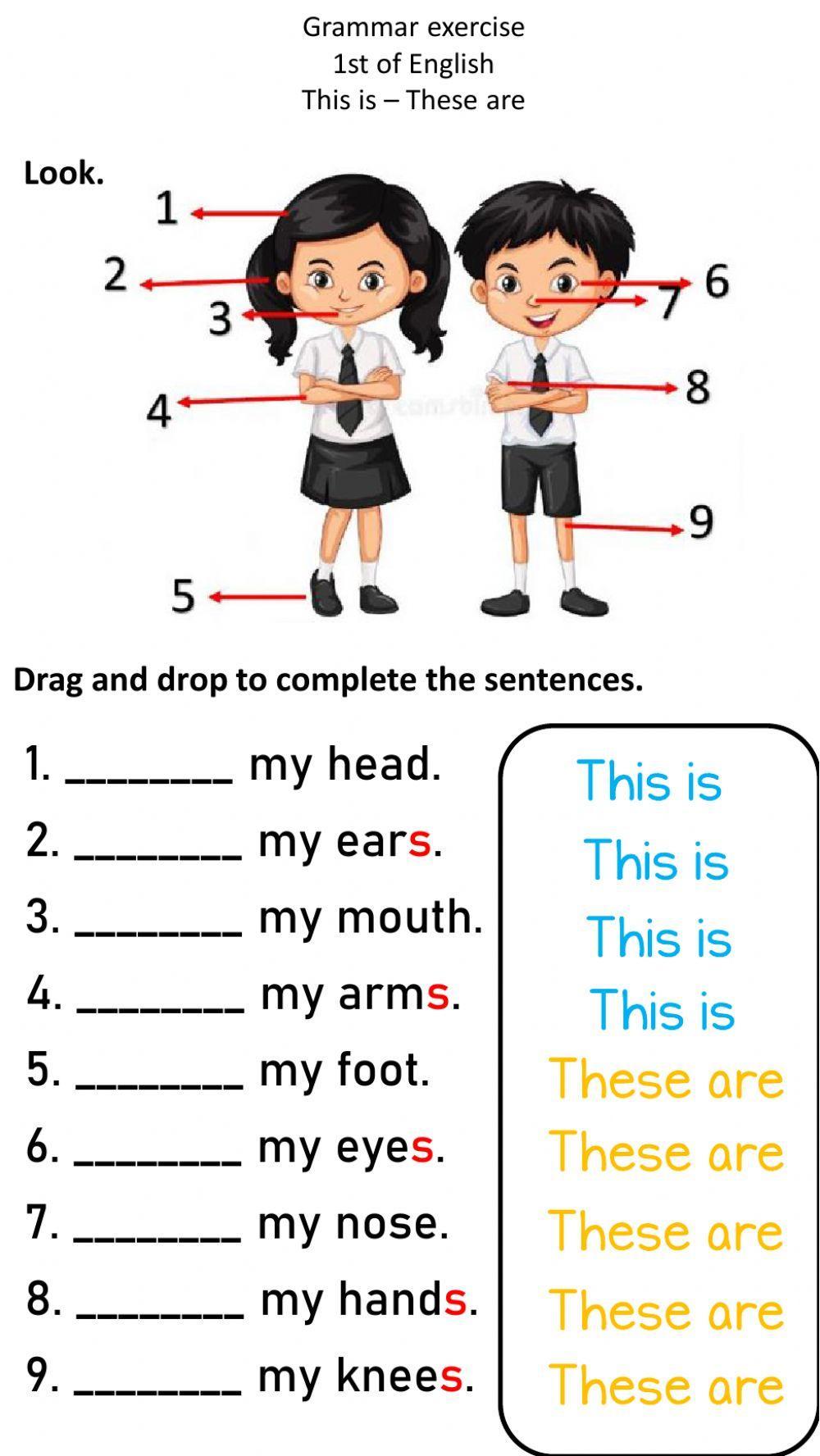 Use Has And Doesn't Have Worksheet Live Worksheets, 49% OFF