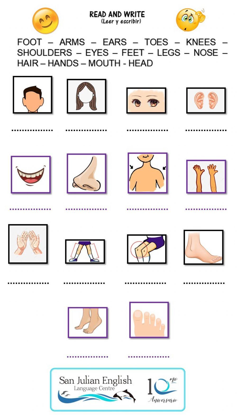 Body parts online exercise for 1st Children | Live Worksheets