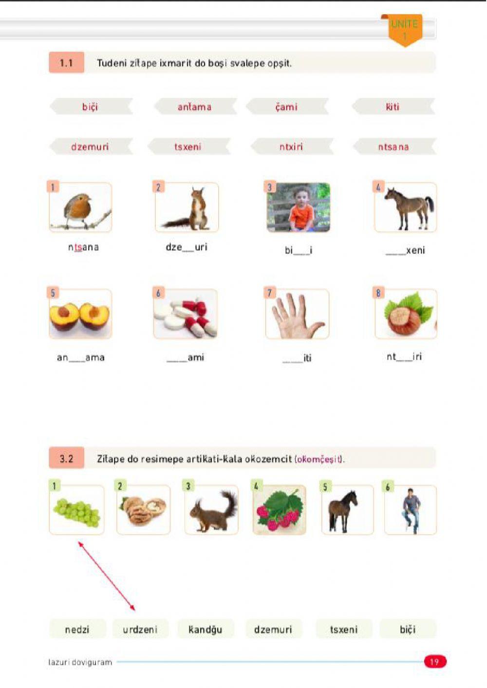 Lazuri Alboni worksheet | Live Worksheets