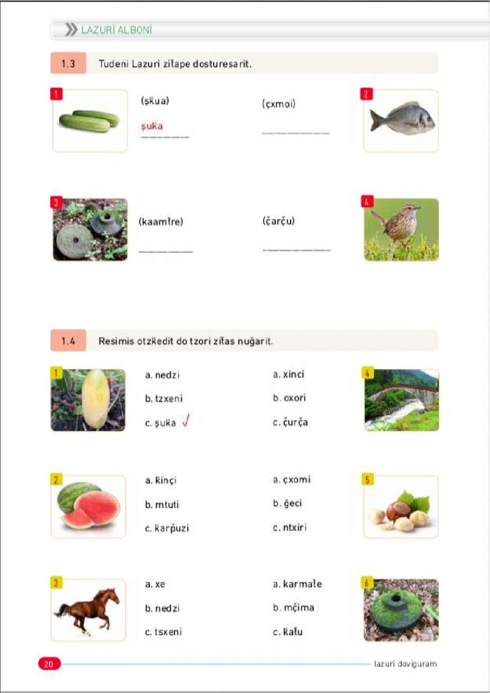 Lazuri Alboni worksheet | Live Worksheets