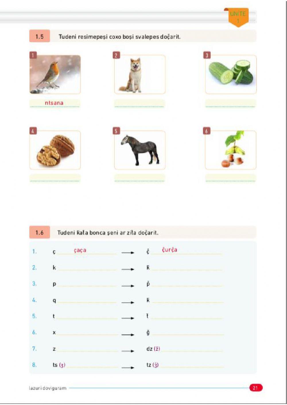 Lazuri Alboni worksheet | Live Worksheets