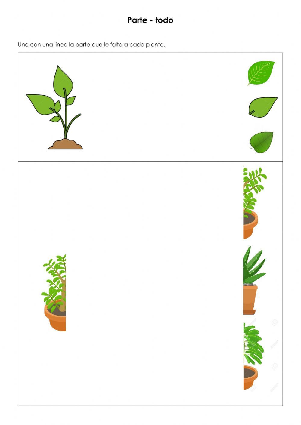 Parte todo 538887 | jenyCG | Live Worksheets