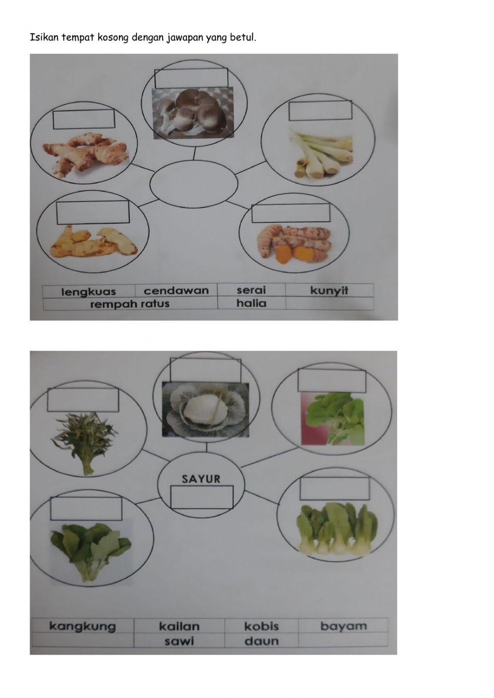 Jenis Sayur-sayuran worksheet | Live Worksheets