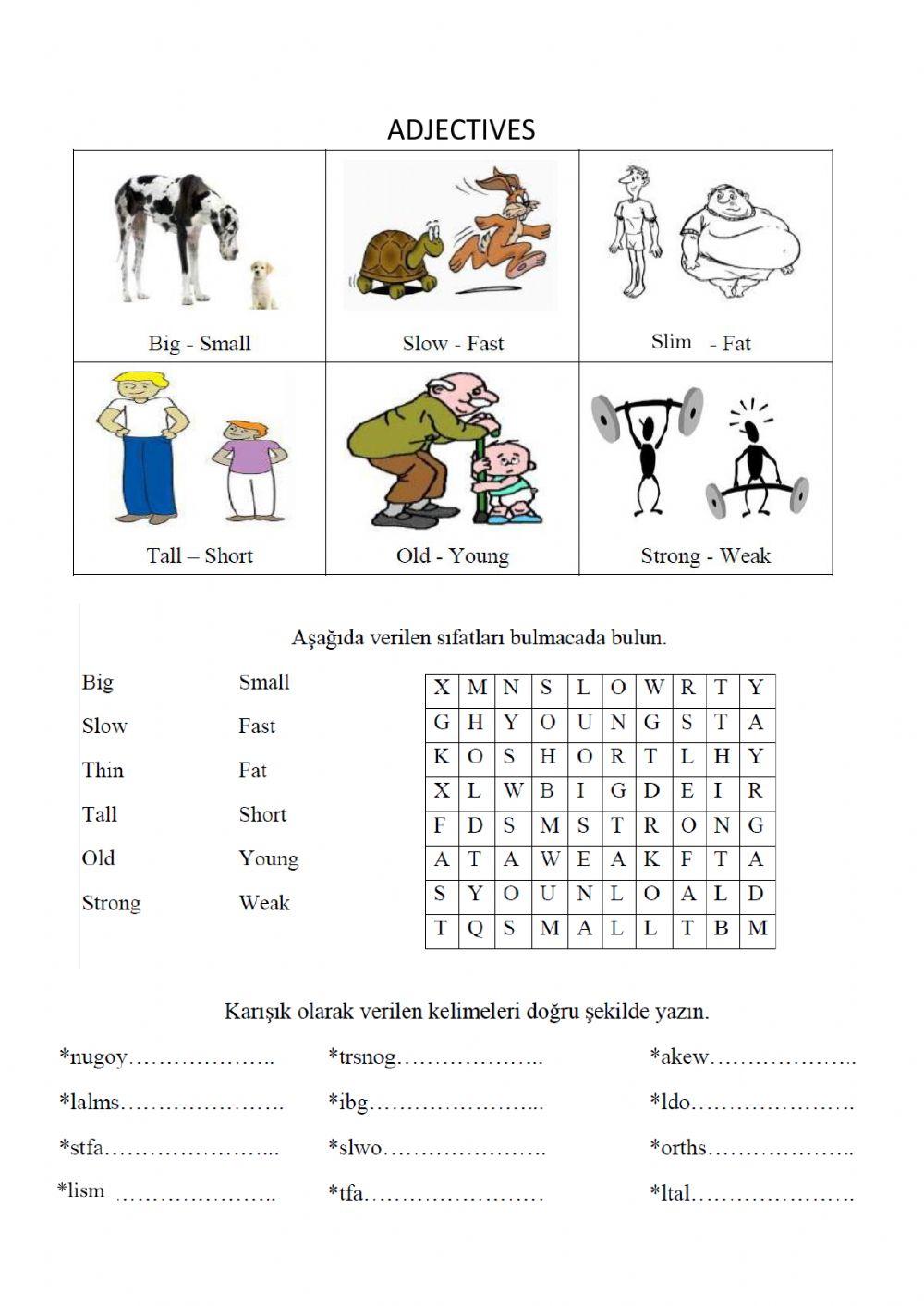 3rd Grade Adjectives-People I Love 6272162 | OZAN MAHİTAP