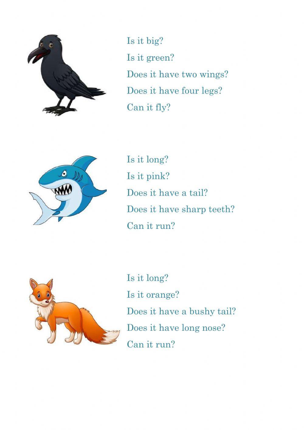 540982 | Question about Animals | Tito Alejandro Jines