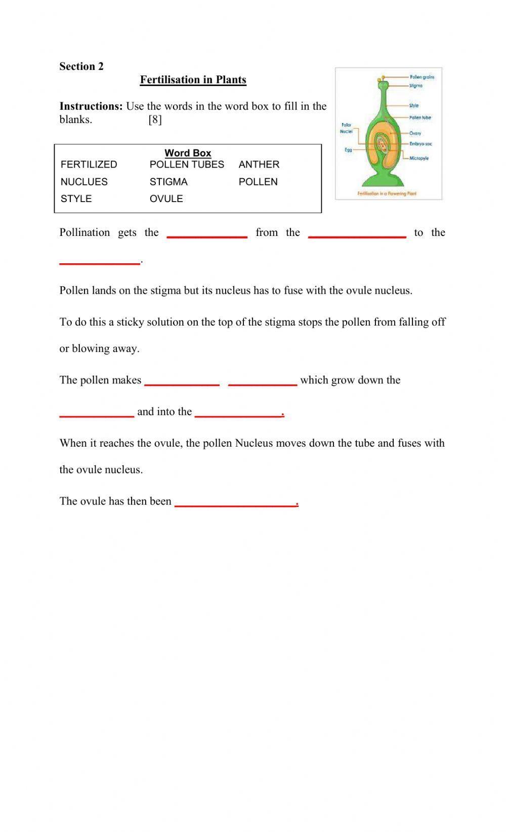 Fertilization i… | Free Interactive Worksheets | 541999