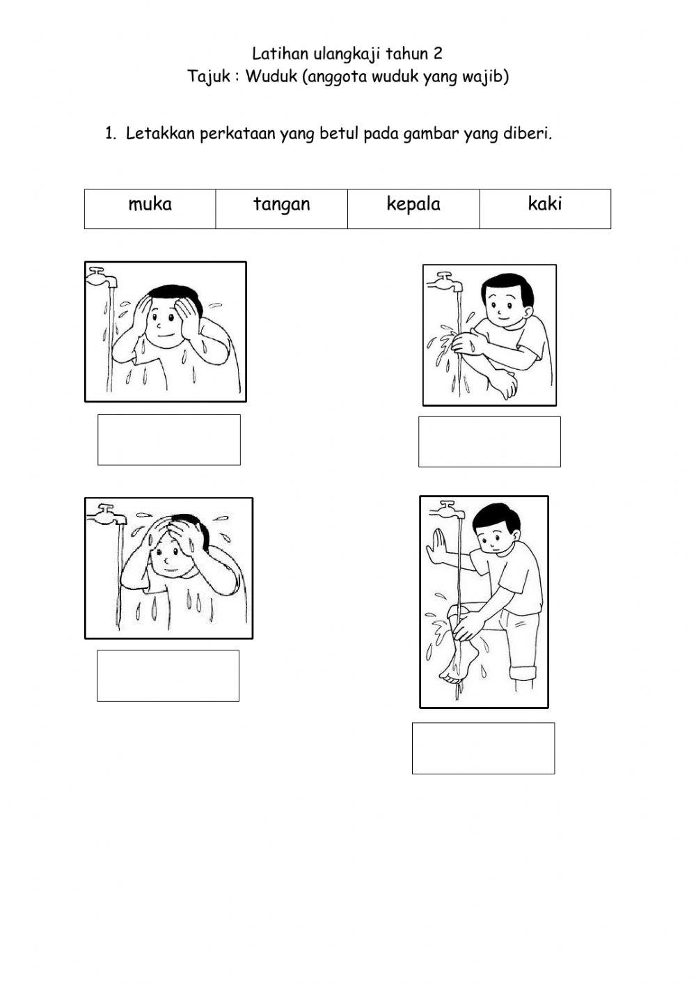 Anggota wuduk yang wajib worksheet | Live Worksheets