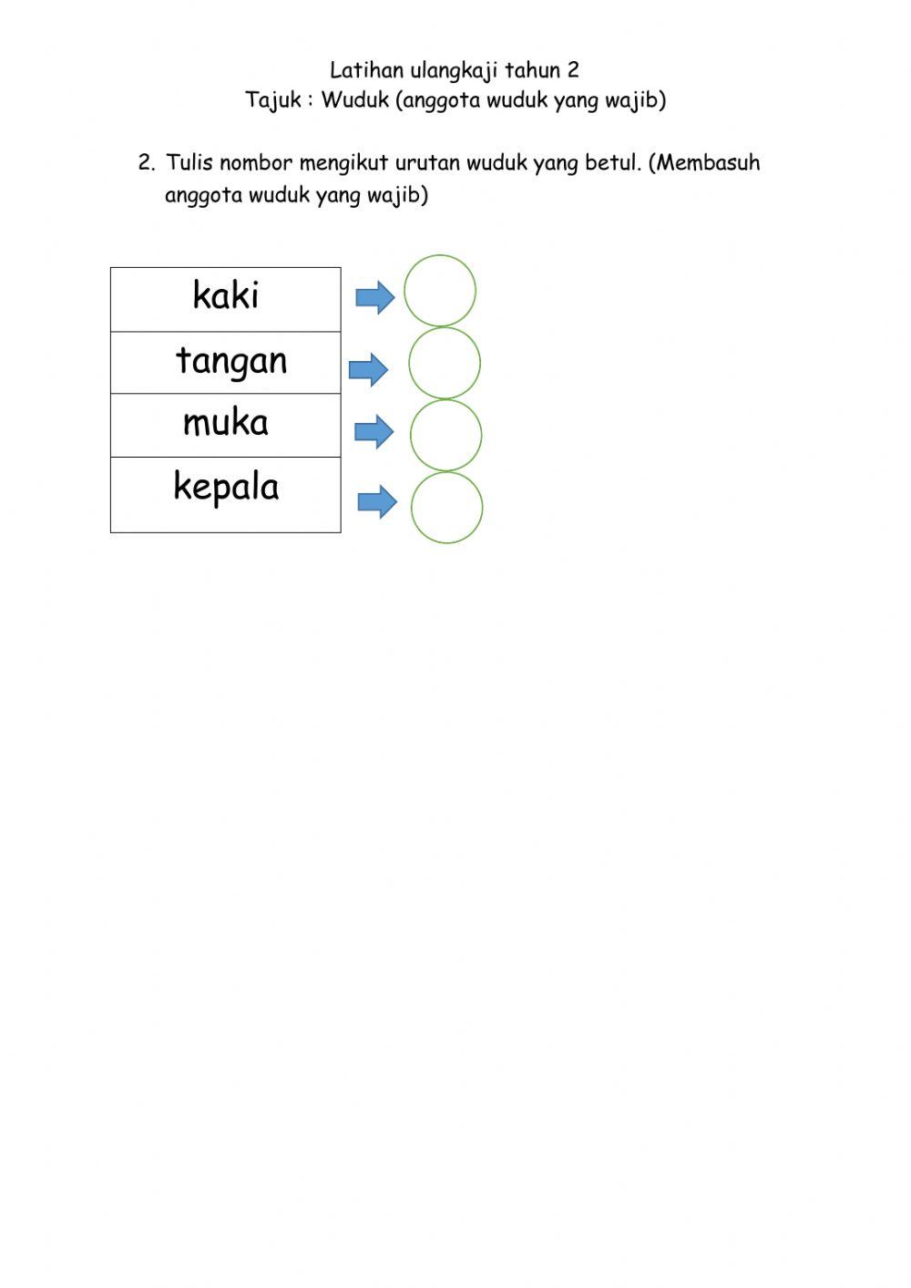 Anggota wuduk yang wajib worksheet | Live Worksheets