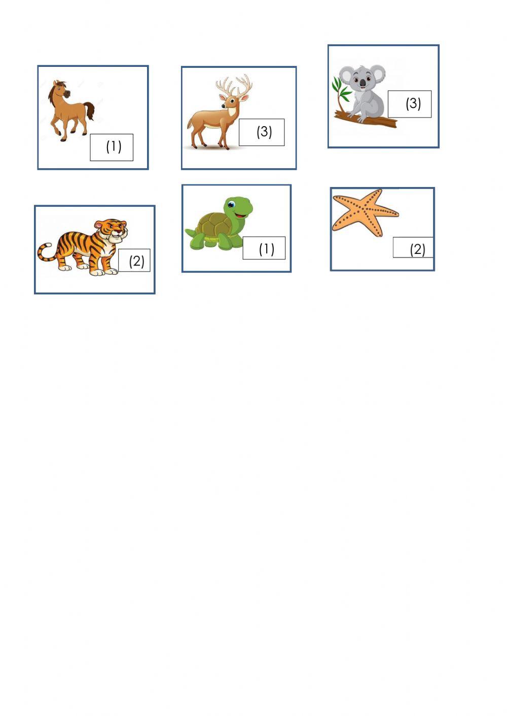 Speed Classification worksheet | Live Worksheets