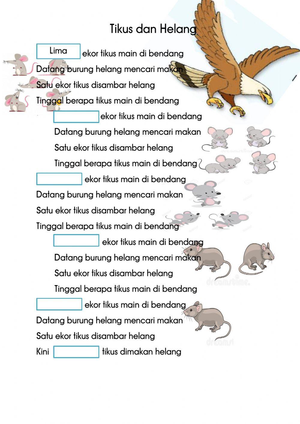 tikus dan