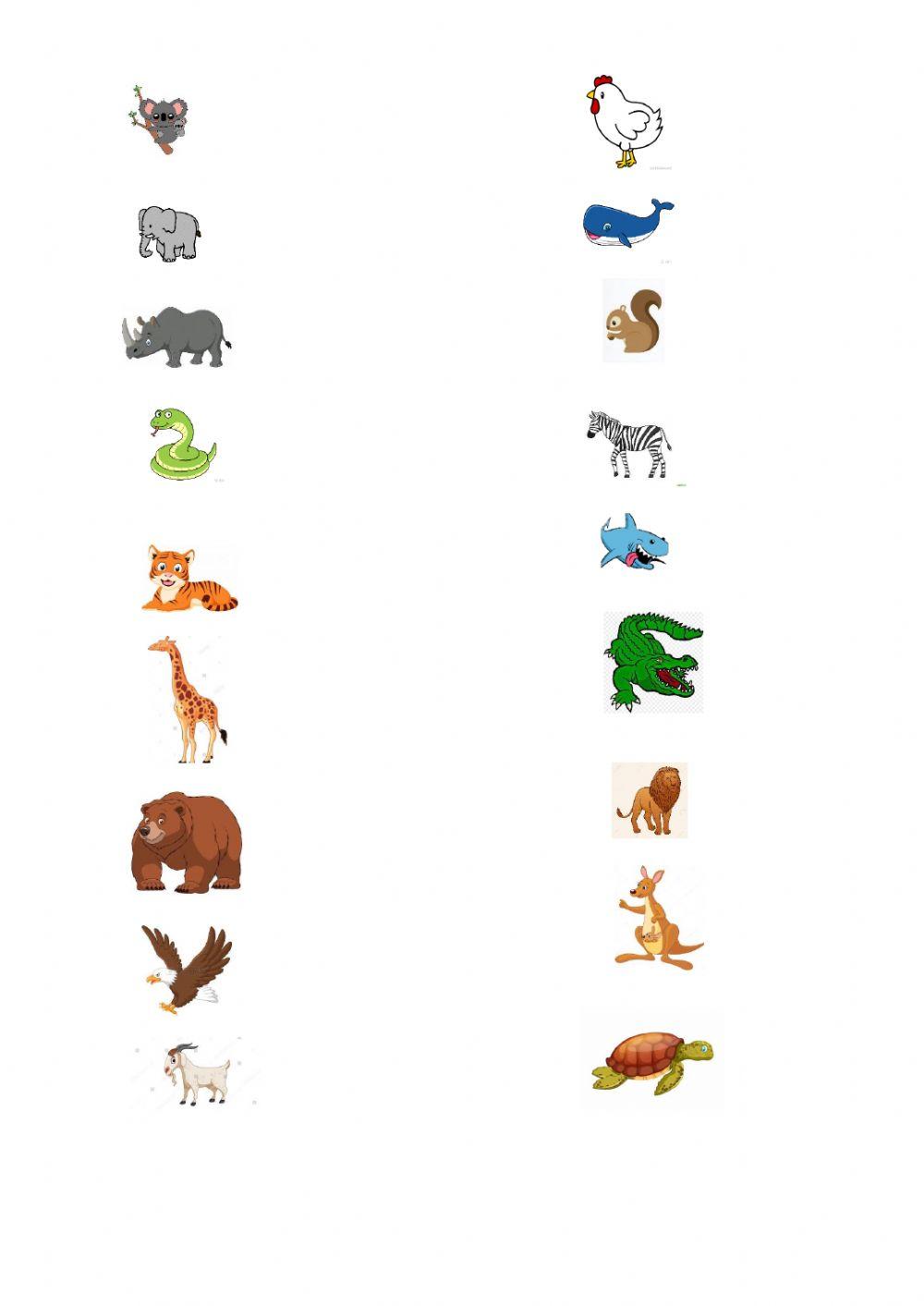 Animals activity | Live Worksheets