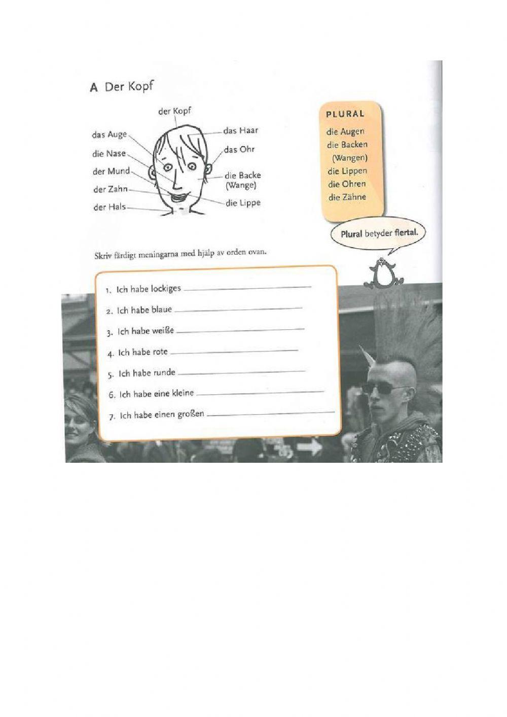 Deutsch Kl 7 der Kopf online exercise for | Live Worksheets