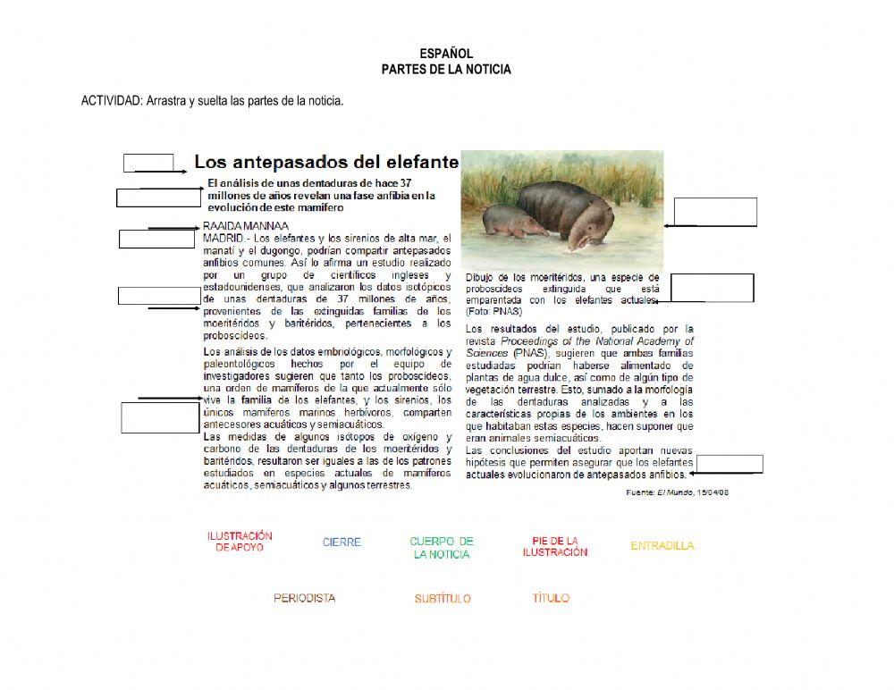 Partes de la noticia | Profr. Cuellar | Live