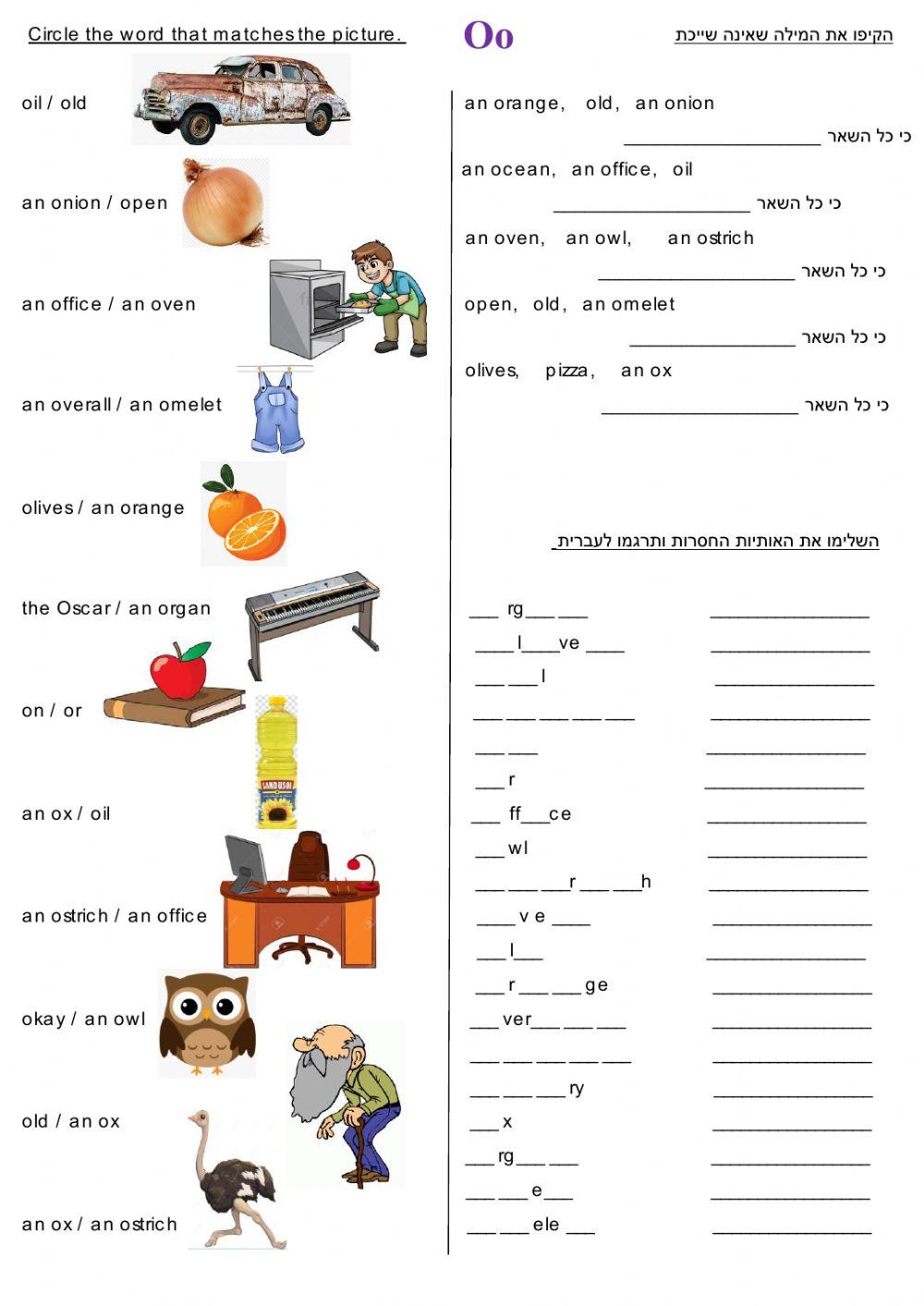 468942 | The Letter Oo 4 Pages, Dina Shterengas | Dina