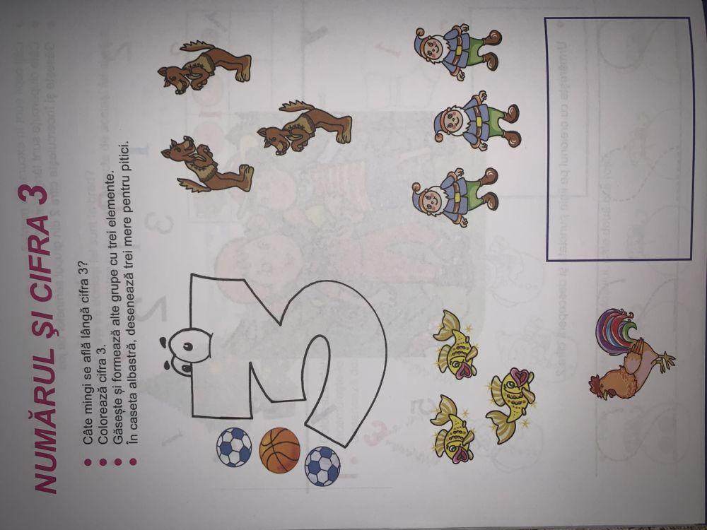 Cifra 3 worksheet | Live Worksheets