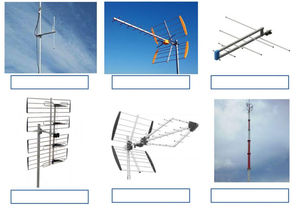 Tipos de antenas según su aspecto 723369 | Noe | Live