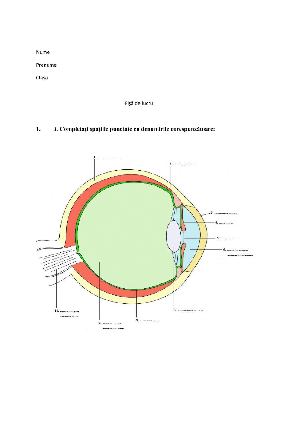Ochiul 469794 | ALINAC78 | Live Worksheets