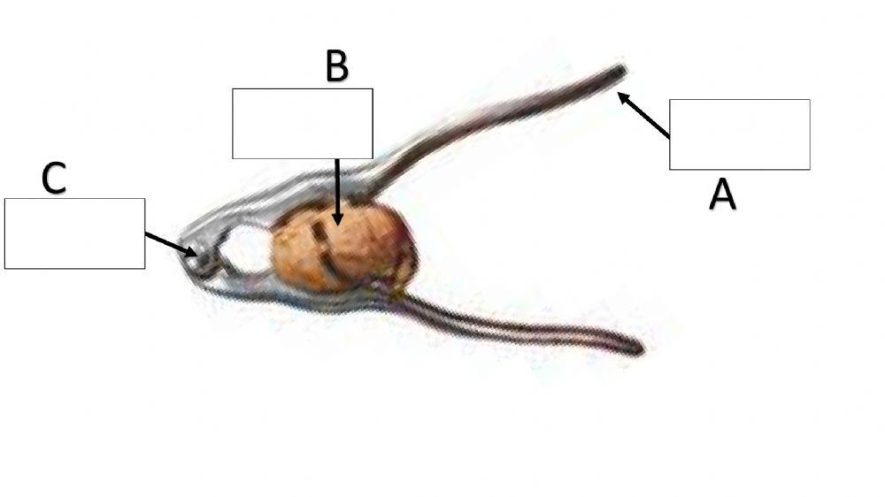 Mesin : tuas worksheet | Live Worksheets